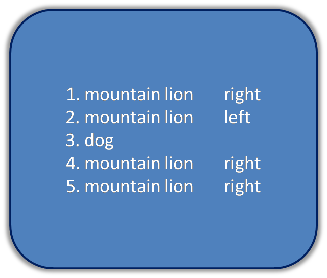 Mountain Lion Quiz Winner! - NatureOutside