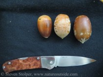 Turn Acorns into Spinning Tops in just 10 Minutes (Children’s Toys ...