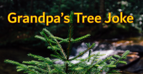 Funny Tree Dad Jokes