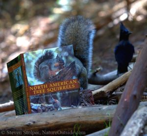 It’s Enormous and it’s Coming Toward You! How to interpret Squirrel ...